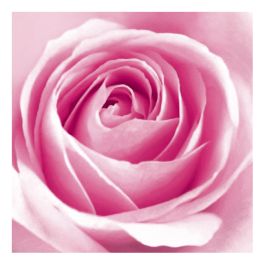 Dining Collection Lunch Napkins - Ultimate Splendour - 20 ct.